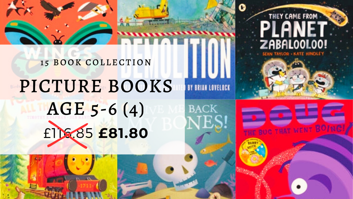 Mini Book Bundle 4 Picture Books Ages 5-6 – Sheels Educational