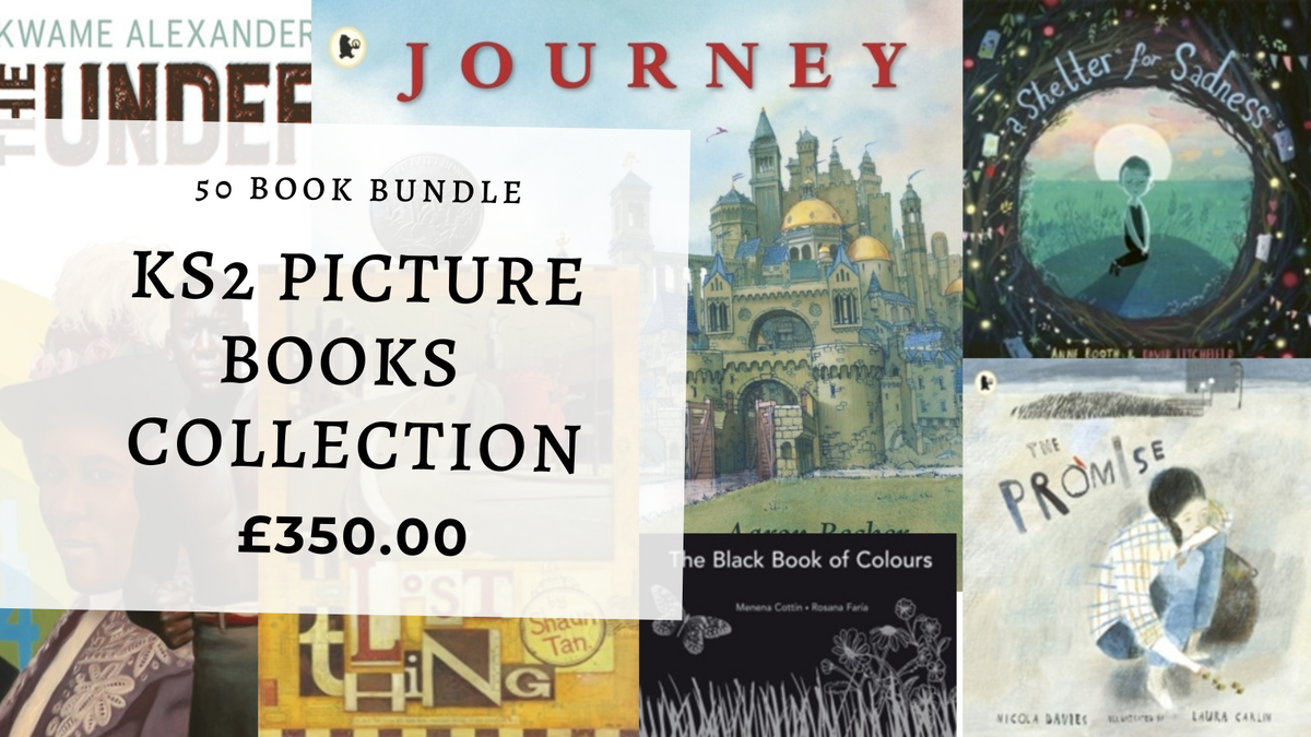 50 Book Bundle-KS2 Picture Books – Sheels Educational
